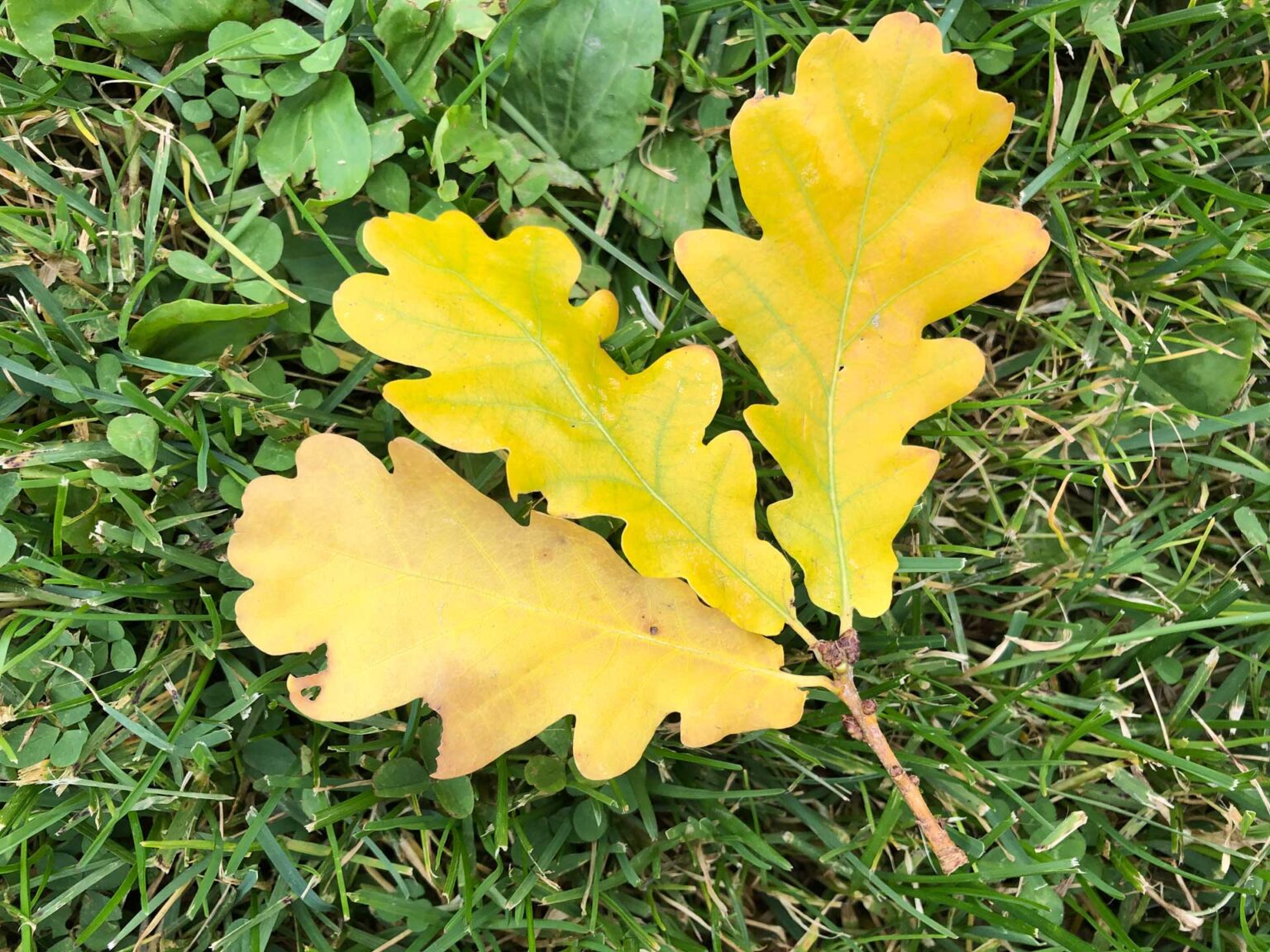 Home | The official website of Asle Toje